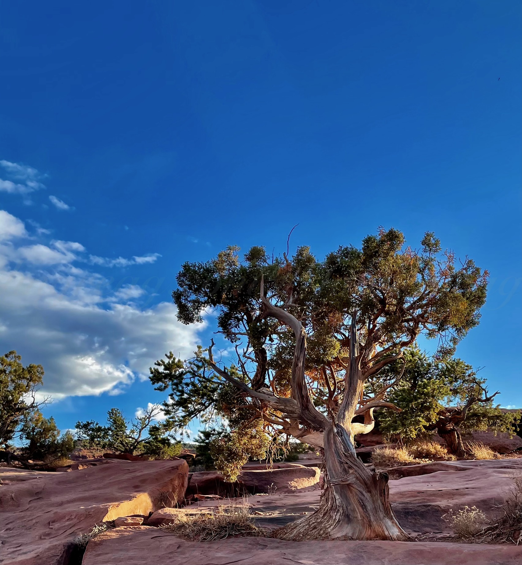Photography by John Gregg – John Gregg Studios