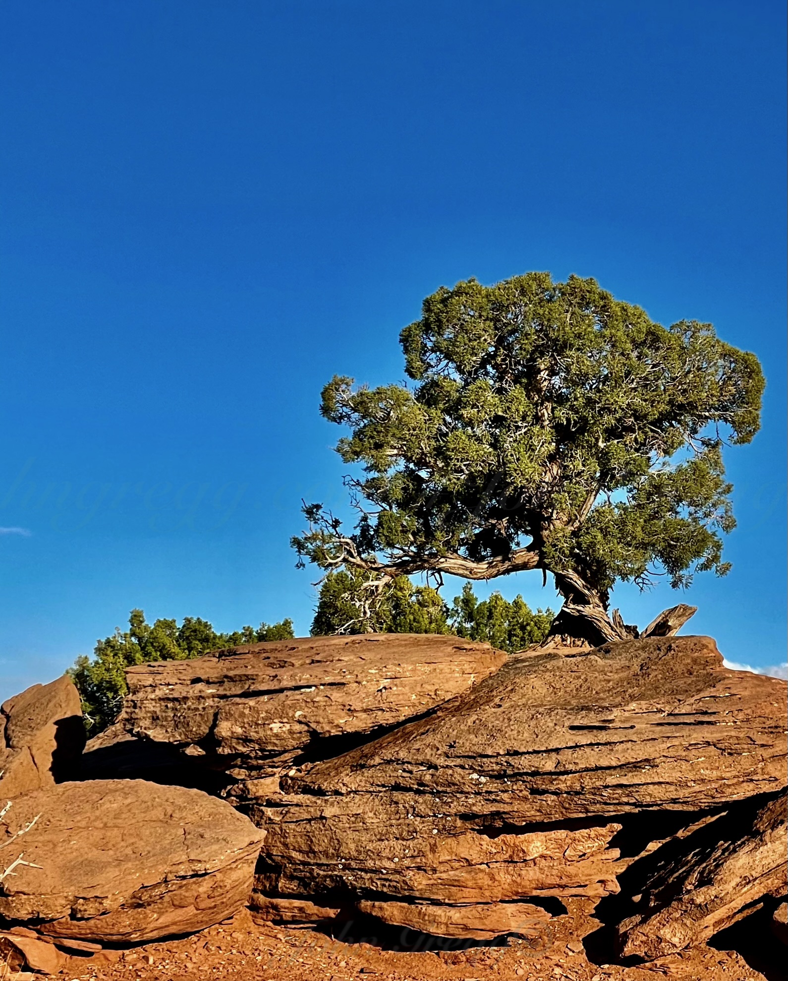 Photography by John Gregg – John Gregg Studios